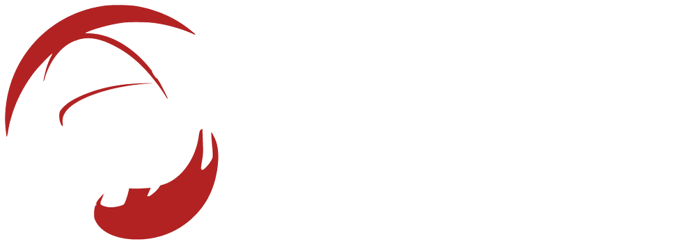 Why We Do What We Do — Charis Alliance