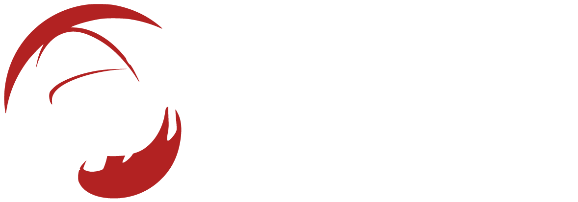 Why We Do What We Do — Charis Alliance