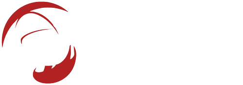 Why We Do What We Do — Charis Alliance