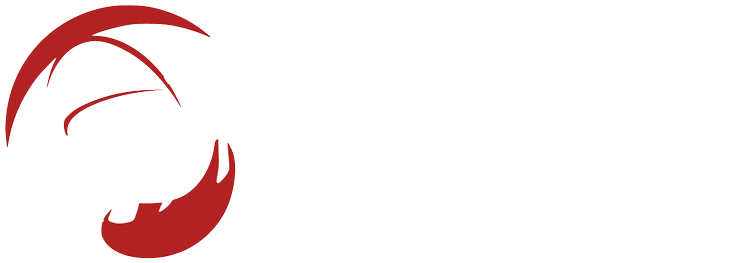 Why We Do What We Do — Charis Alliance
