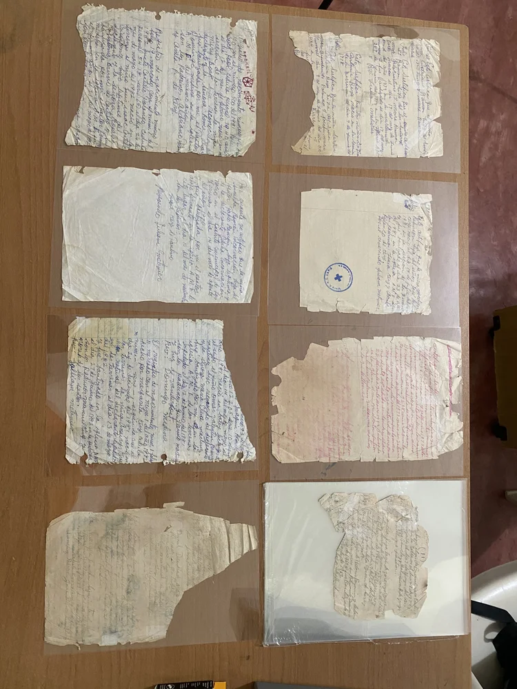 Guerilla Archiving in Samaná — Sophia Monegro, Ph.D.