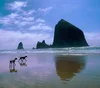 In Motion Travel Therapy
