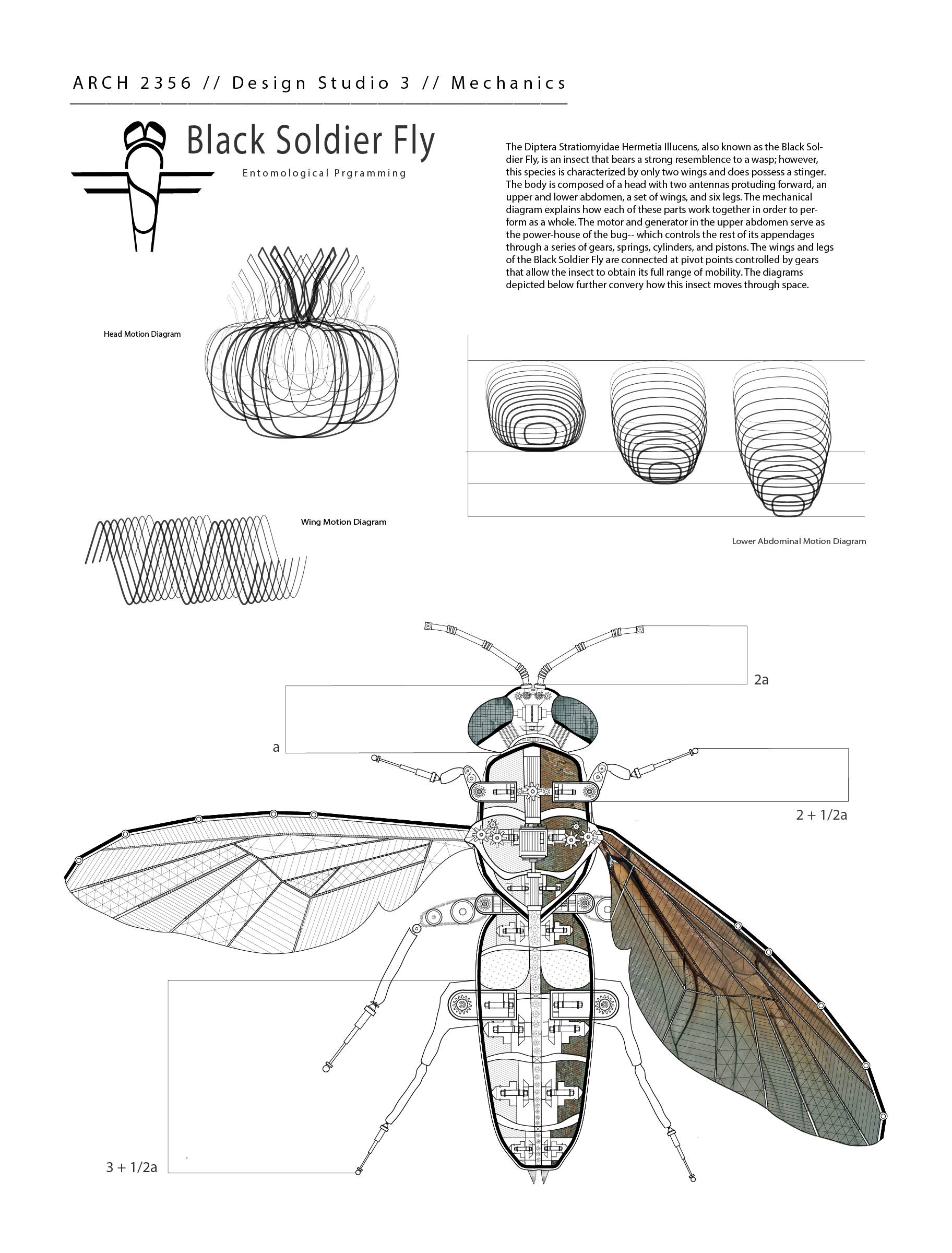 Insect Morphology — Alexis Davis