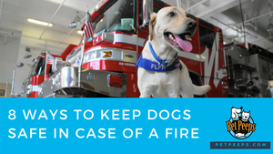 8 Ways To Keep Dogs Safe In Case Of A Fire — Pet Peeps
