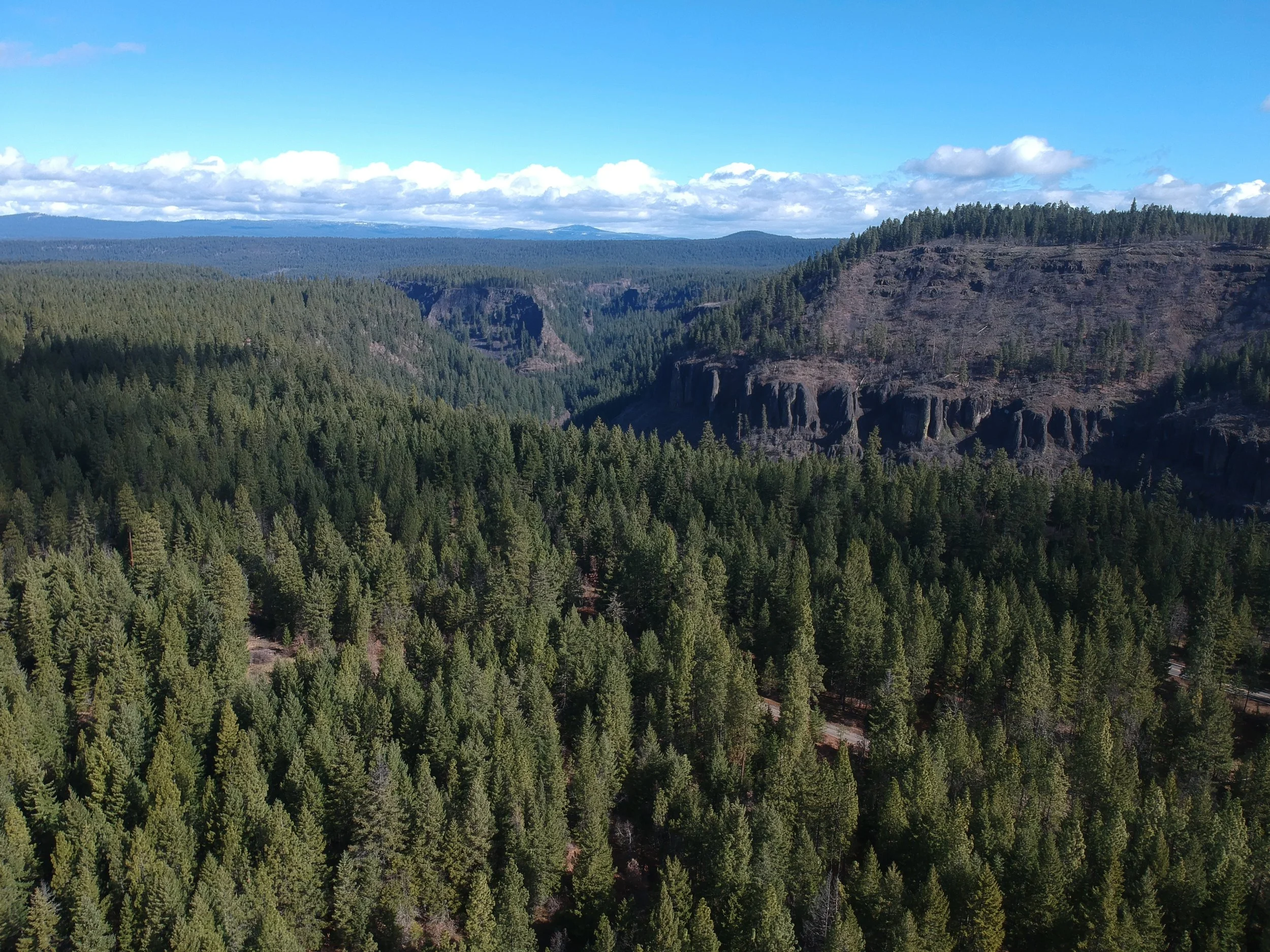 Mt. Adams Community Forest — Mt. Adams Resource Stewards