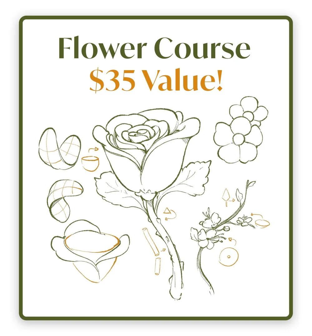 Drawing Courses by JeyRam