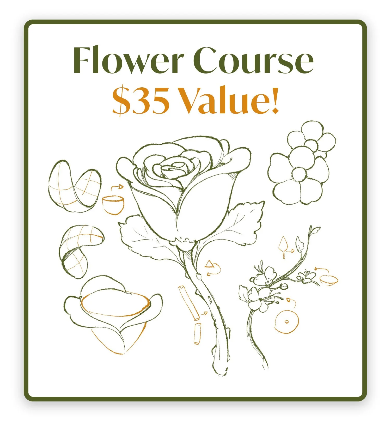 Drawing Courses by JeyRam