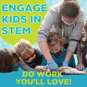 AmeriCorps STEM Coach — Alaska Afterschool Network