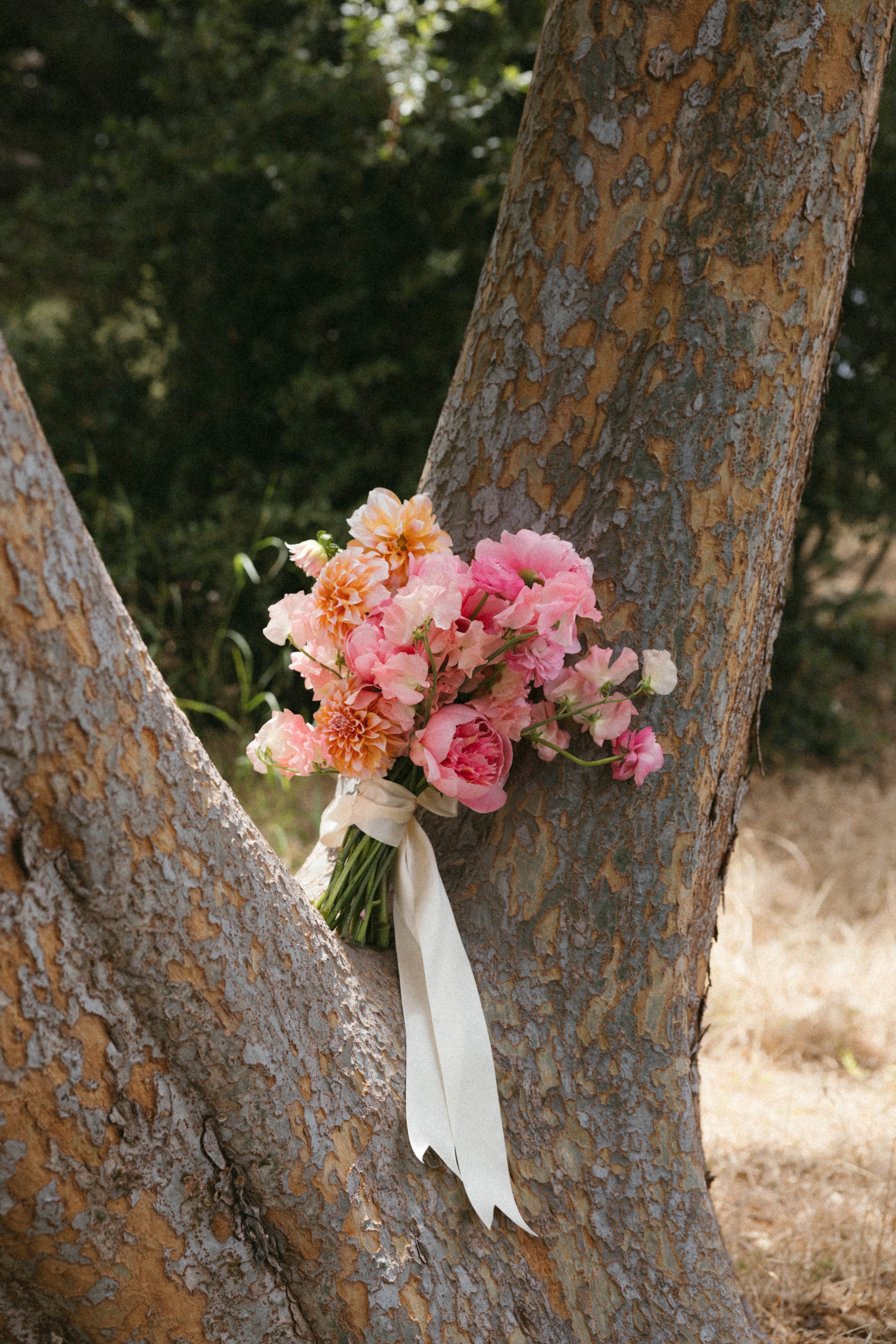 A Wedding at Quail Ranch — Eunice Beck ⎯ Destination Wedding Photographer