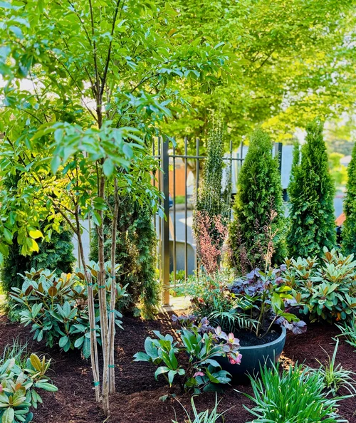 General 1 — Shamar Gardens