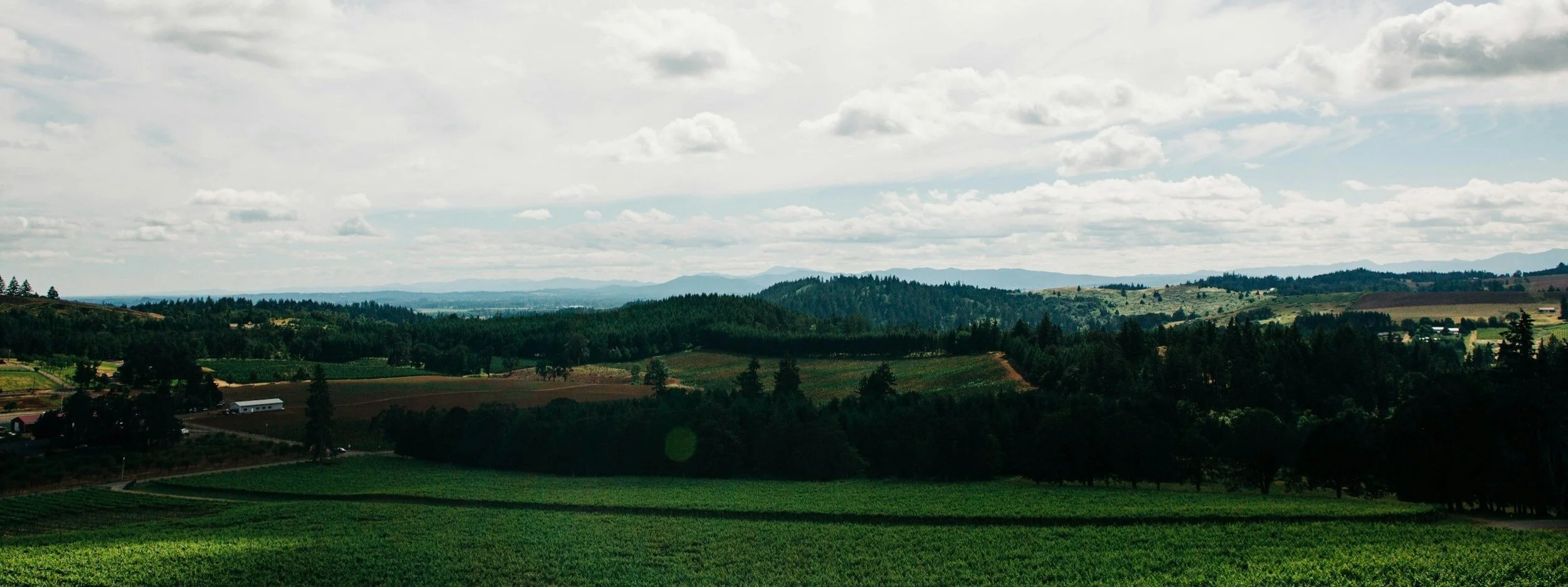Handy Hands Landscape