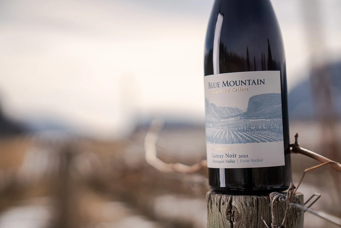Blue Mountain Vineyard and Cellars