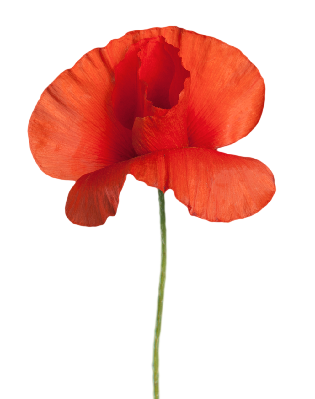 Sexual Health & Seattle Menopause Specialist | Dr. Ashley Fuller