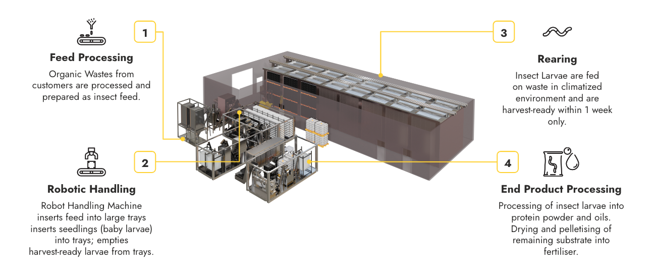 Insect Factory — LIVIN farms