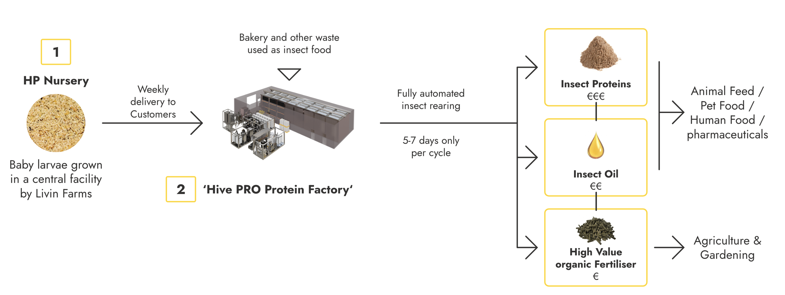 Insect Factory — LIVIN farms