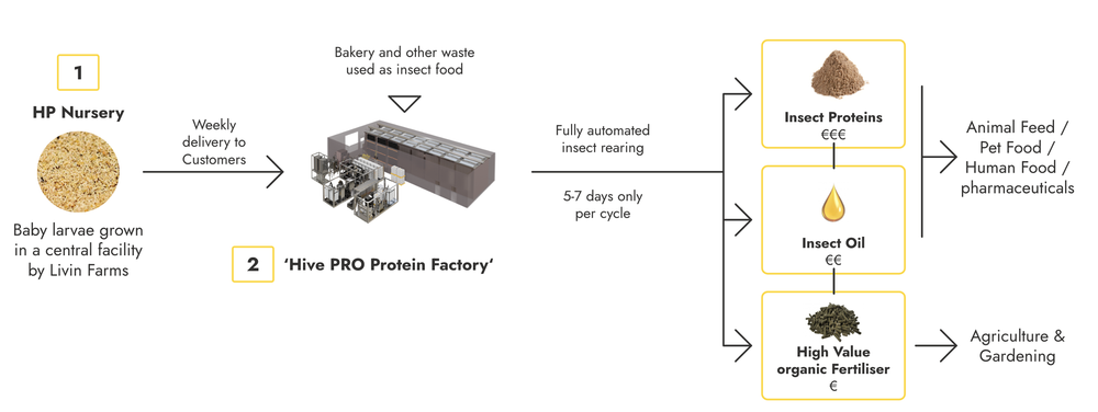 Insect Factory — LIVIN farms