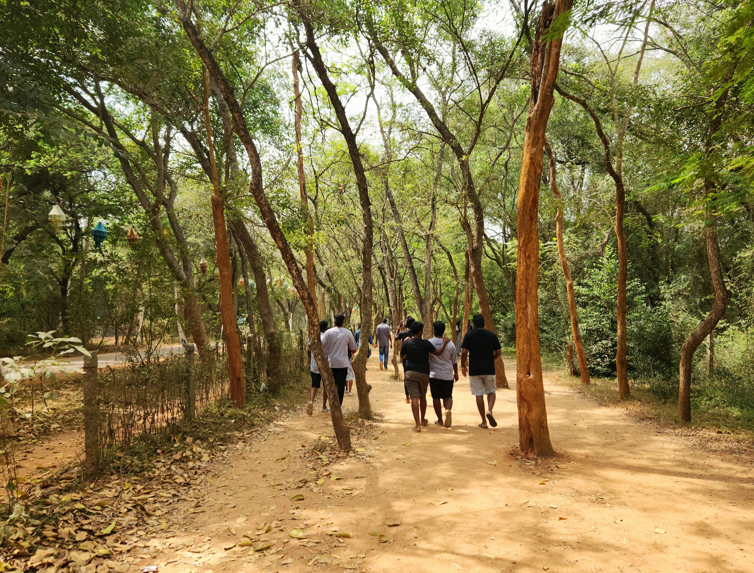 Auroville in South India– A Spiritual Village Without Borders — Frank ...