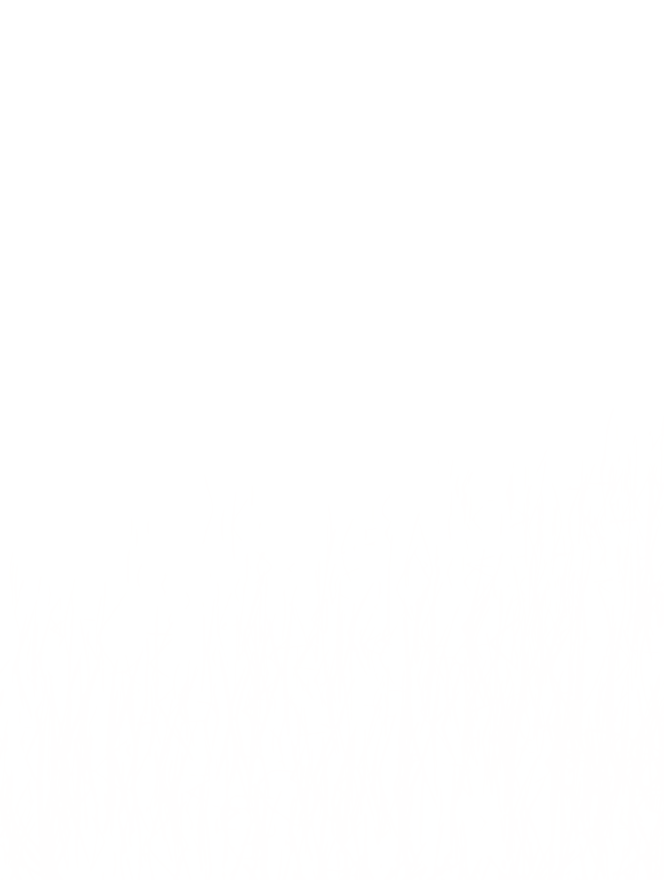 teachings — Aruna Ratanagiri | Buddhist Monastery in Northumberland, UK