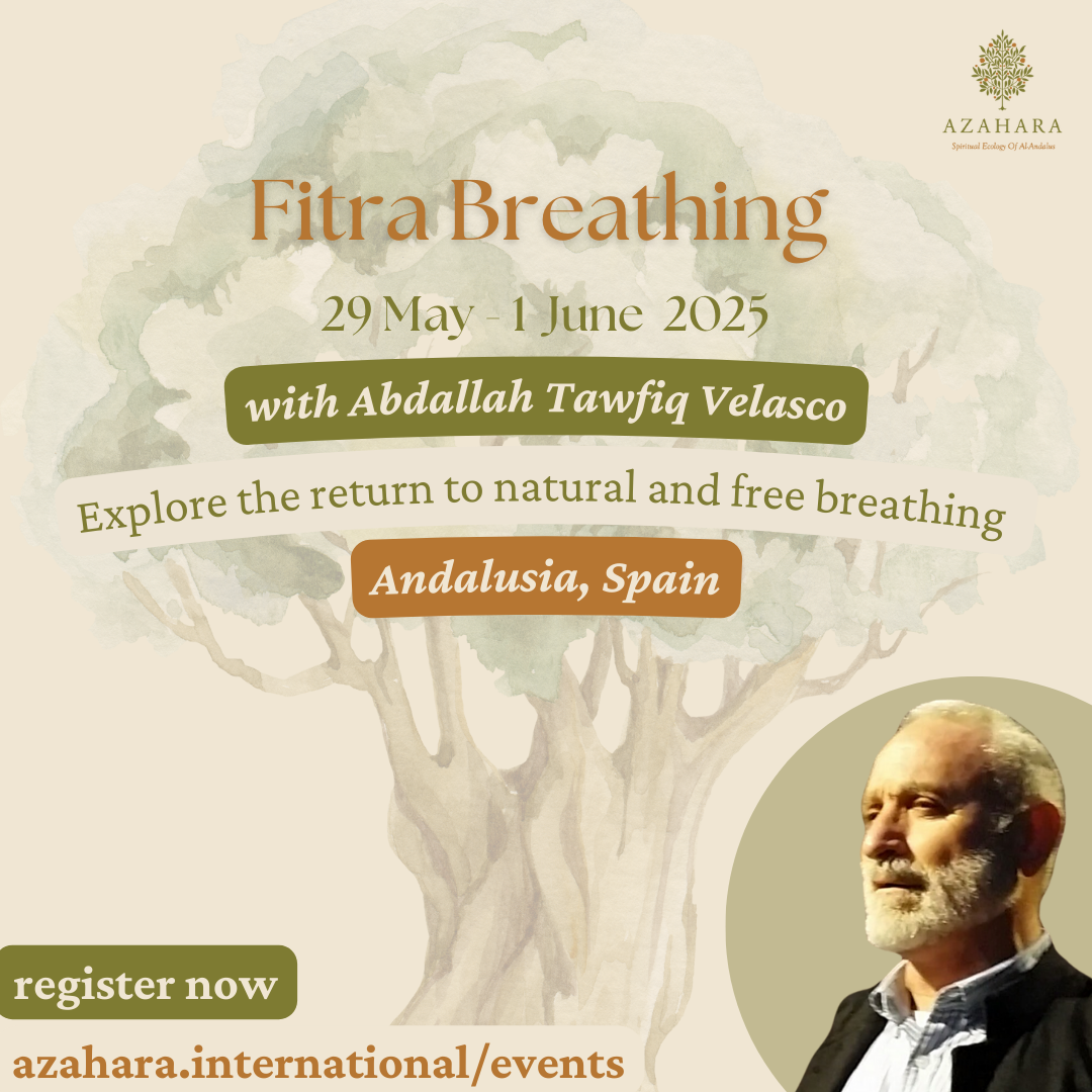 Azahara International