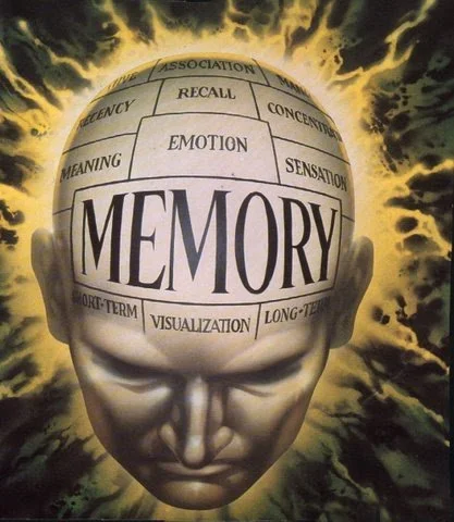The Mind and Working Memory Explained - Why skilled Forensic ...