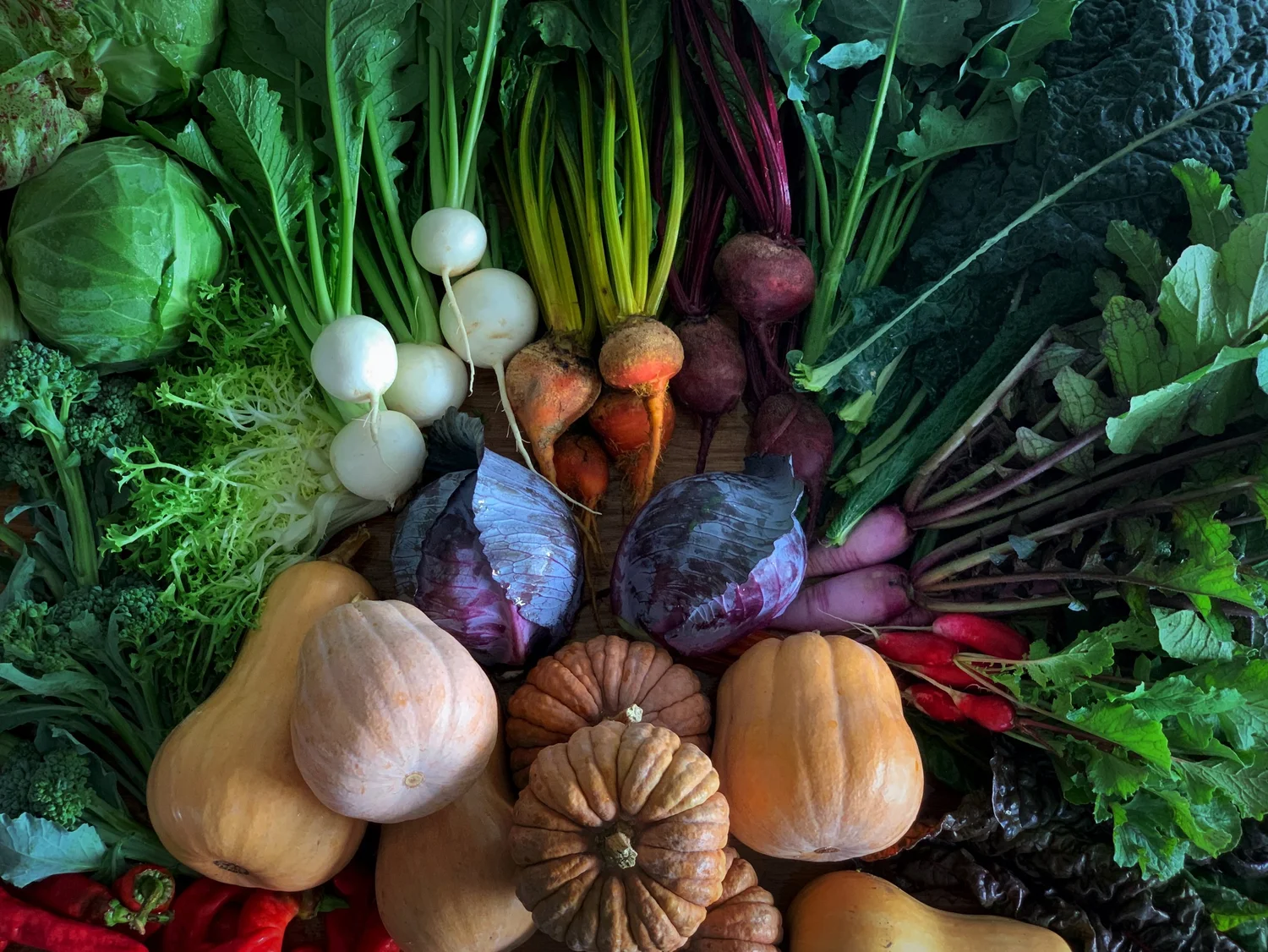 South Wind Produce - Organic CSA in Durham NC