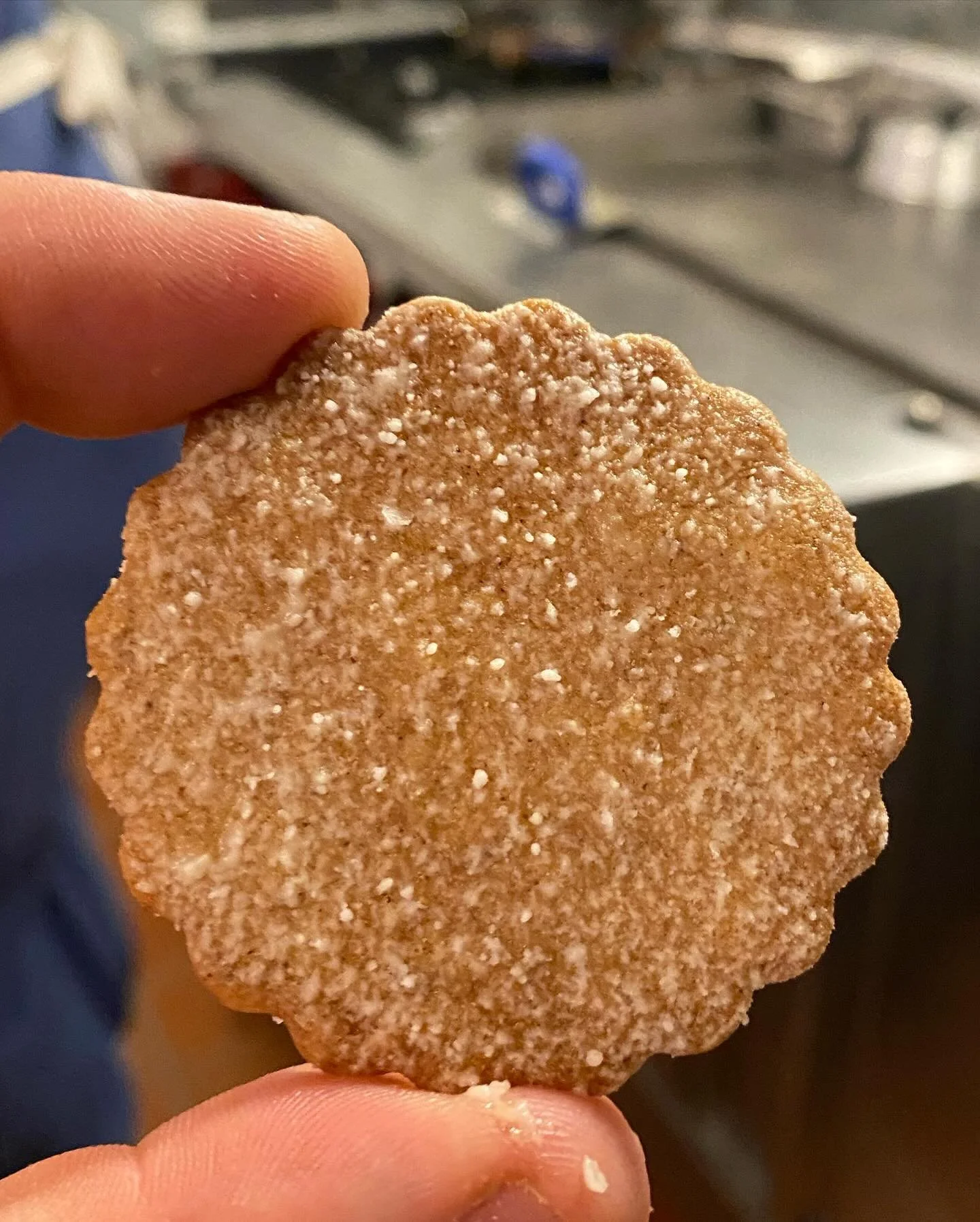 HOME [www.irregardlesspvd.com]