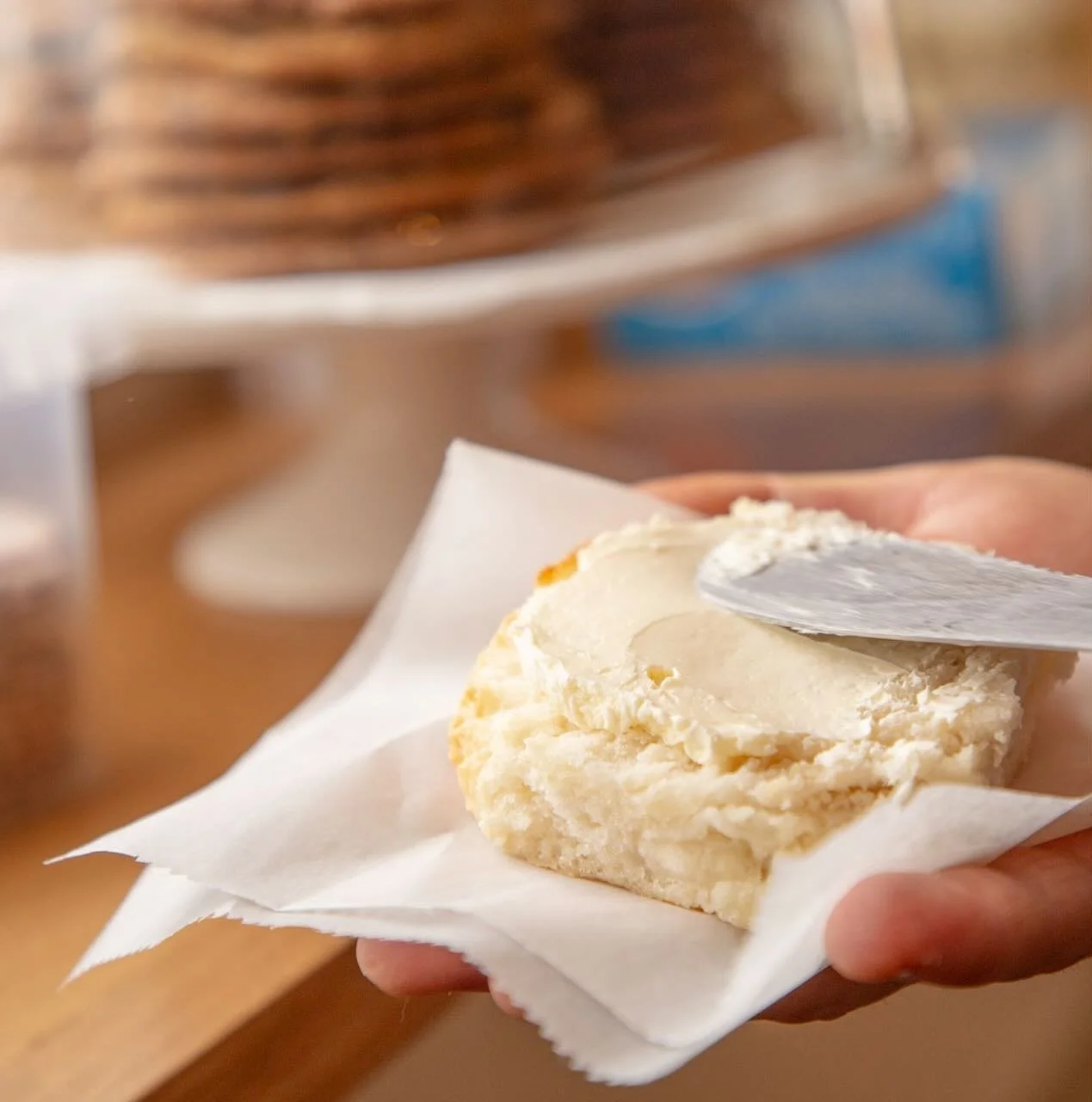 HOME [www.irregardlesspvd.com]