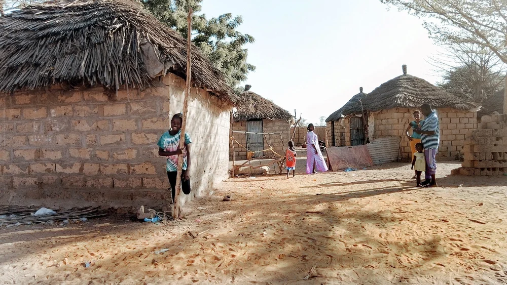 Impact Senegal - Empowering Rural Senegalese Villages