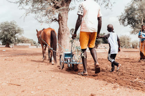 About Impact Senegal — Impact Senegal