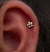 Clove Piercing & Fine Jewelry