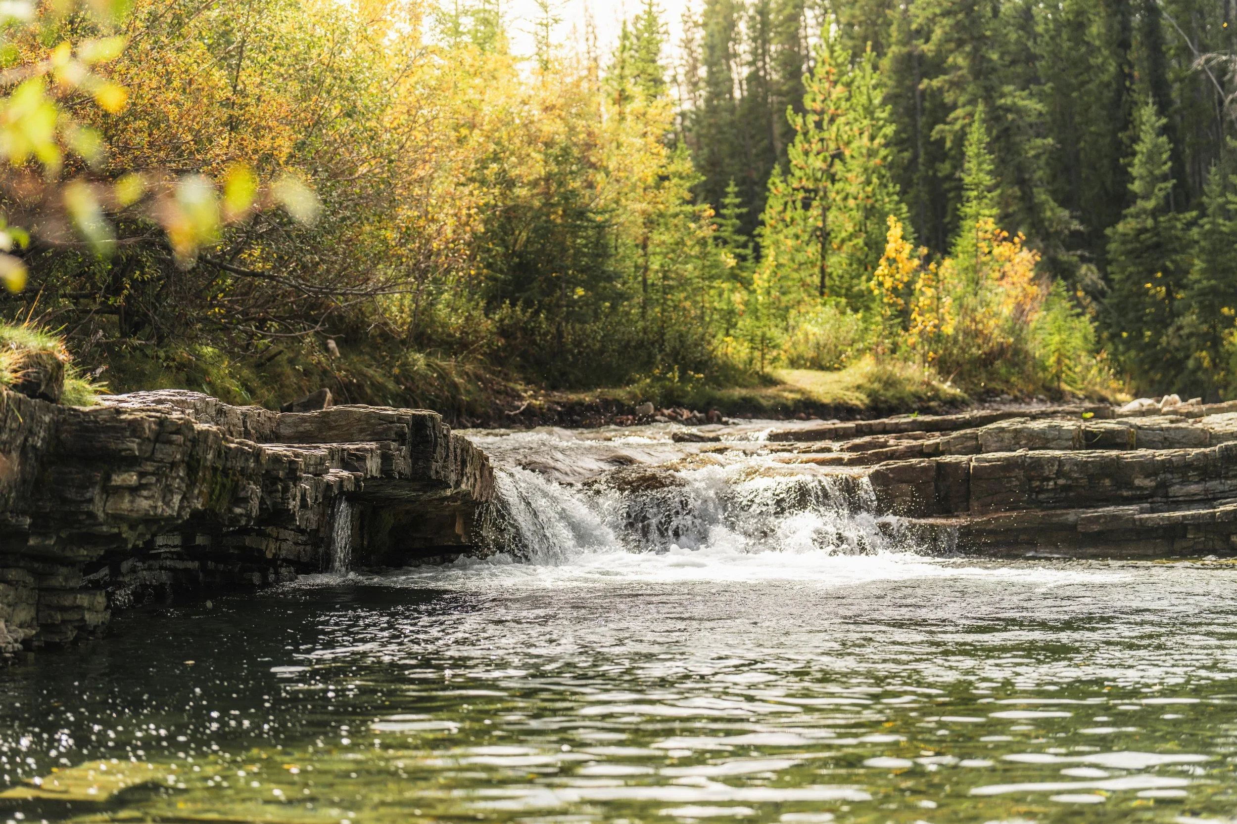 Explore All Things to Do — Hinton Northern Rockies