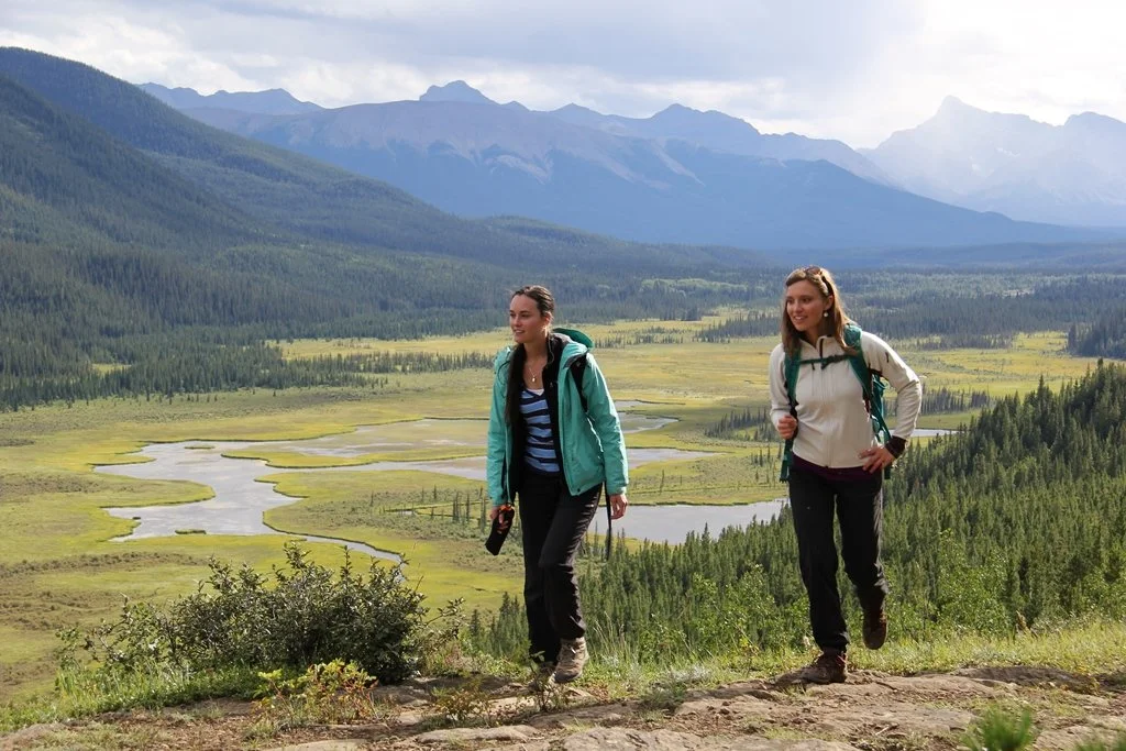 WILLMORE WILDERNESS PARK — Hinton Northern Rockies