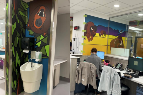 Emergency Department Renovation Update — Canmore Hospital Foundation ...