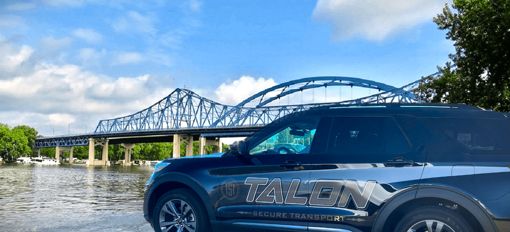 TALON PROTECTION AGENCY