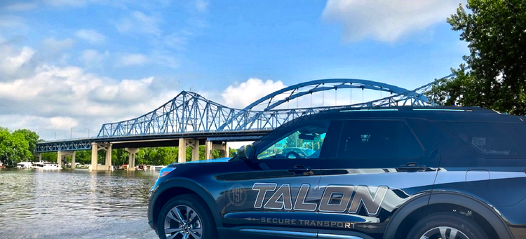 TALON PROTECTION AGENCY