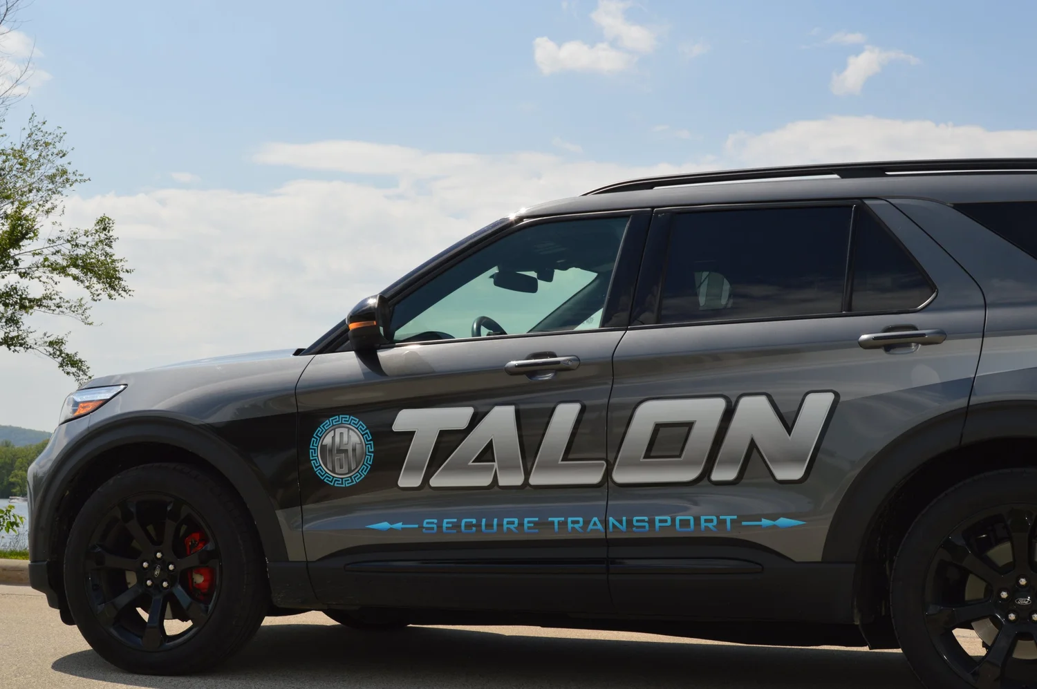 TALON PROTECTION AGENCY