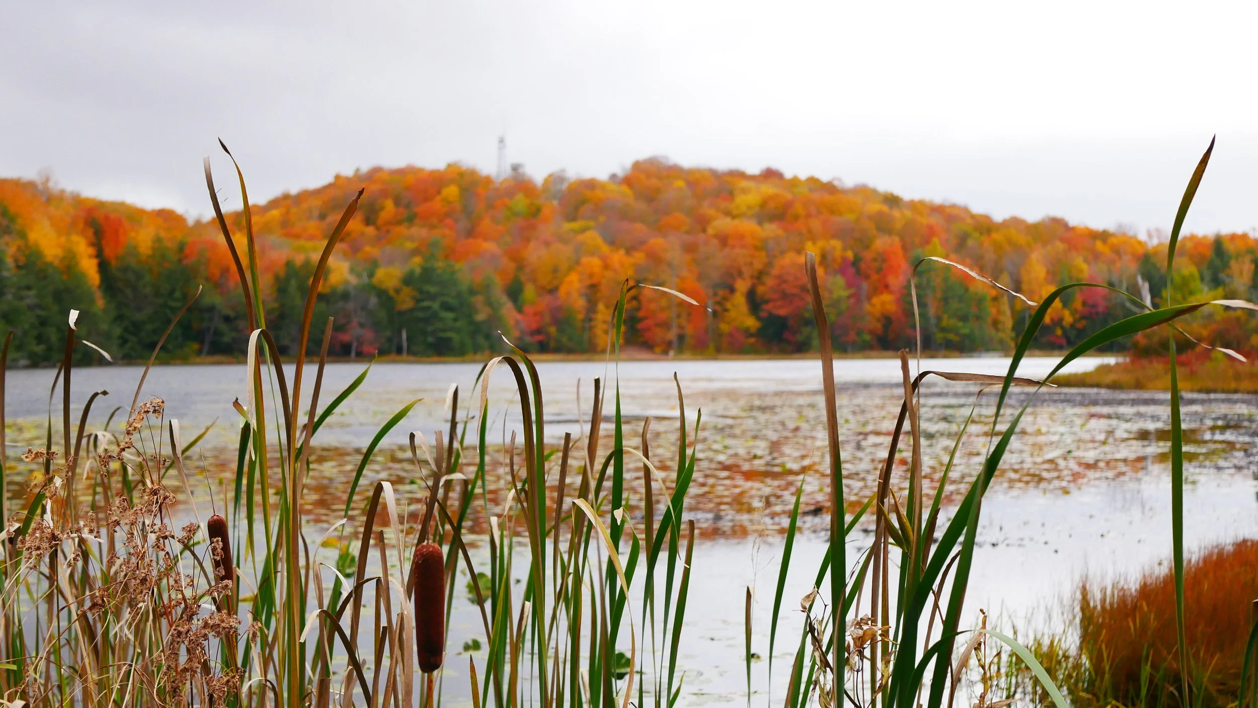 Lakes — Taylor County Tourism