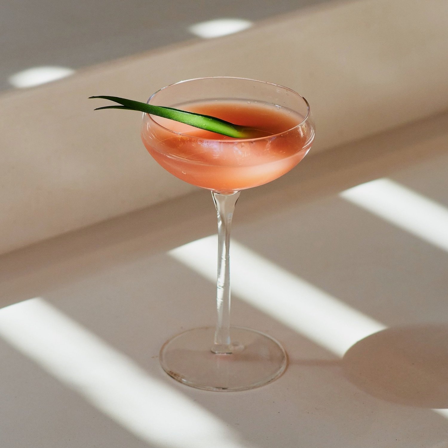 Panza Restaurant | Reservations