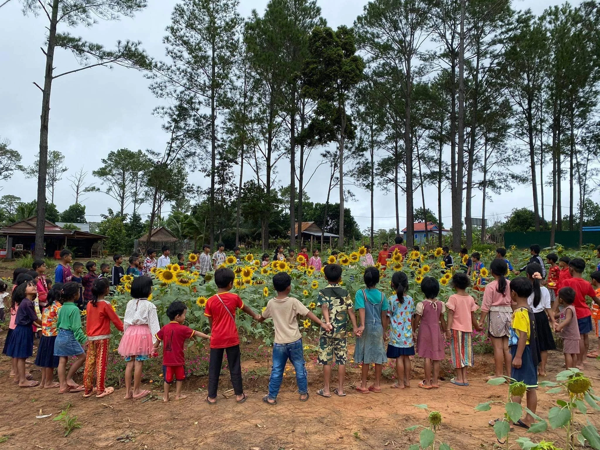 Coconut School Foundation