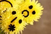 How to Create Emoticon Mums! — J Schwanke's Life In Bloom