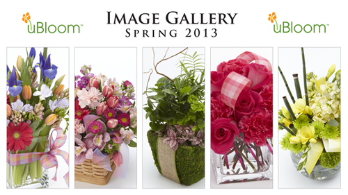 Announcing uBloom Image Gallery... For Professional Florists! — J ...