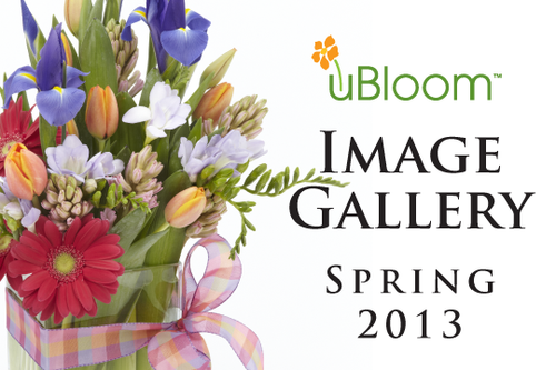 The uBloom Image Gallery Series One - 2013 — J Schwanke's Life In Bloom