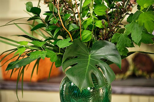 All Foliage Arrangement! — J Schwanke's Life In Bloom