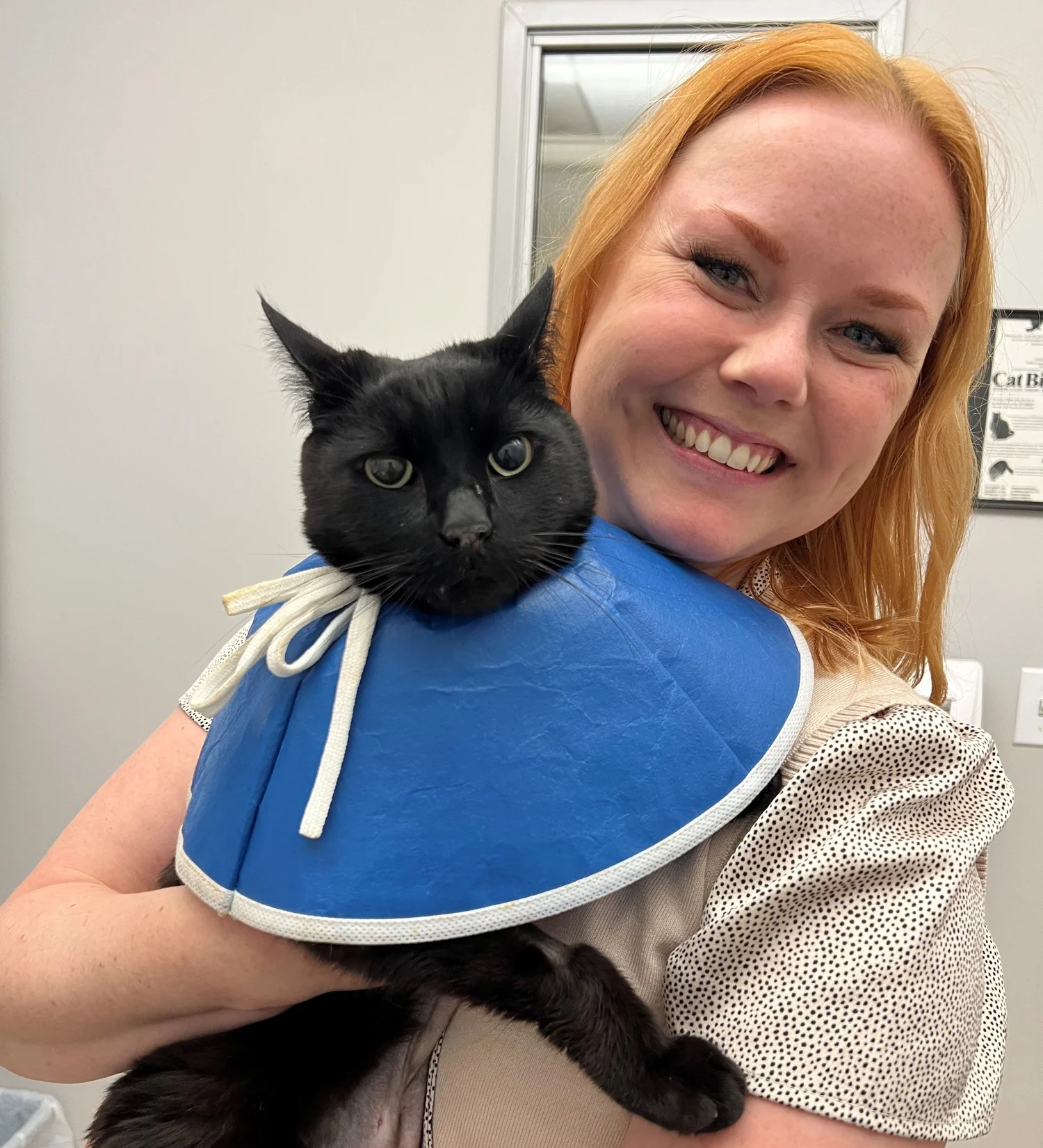 Apply For Assistance — Sage Compassion for Animals