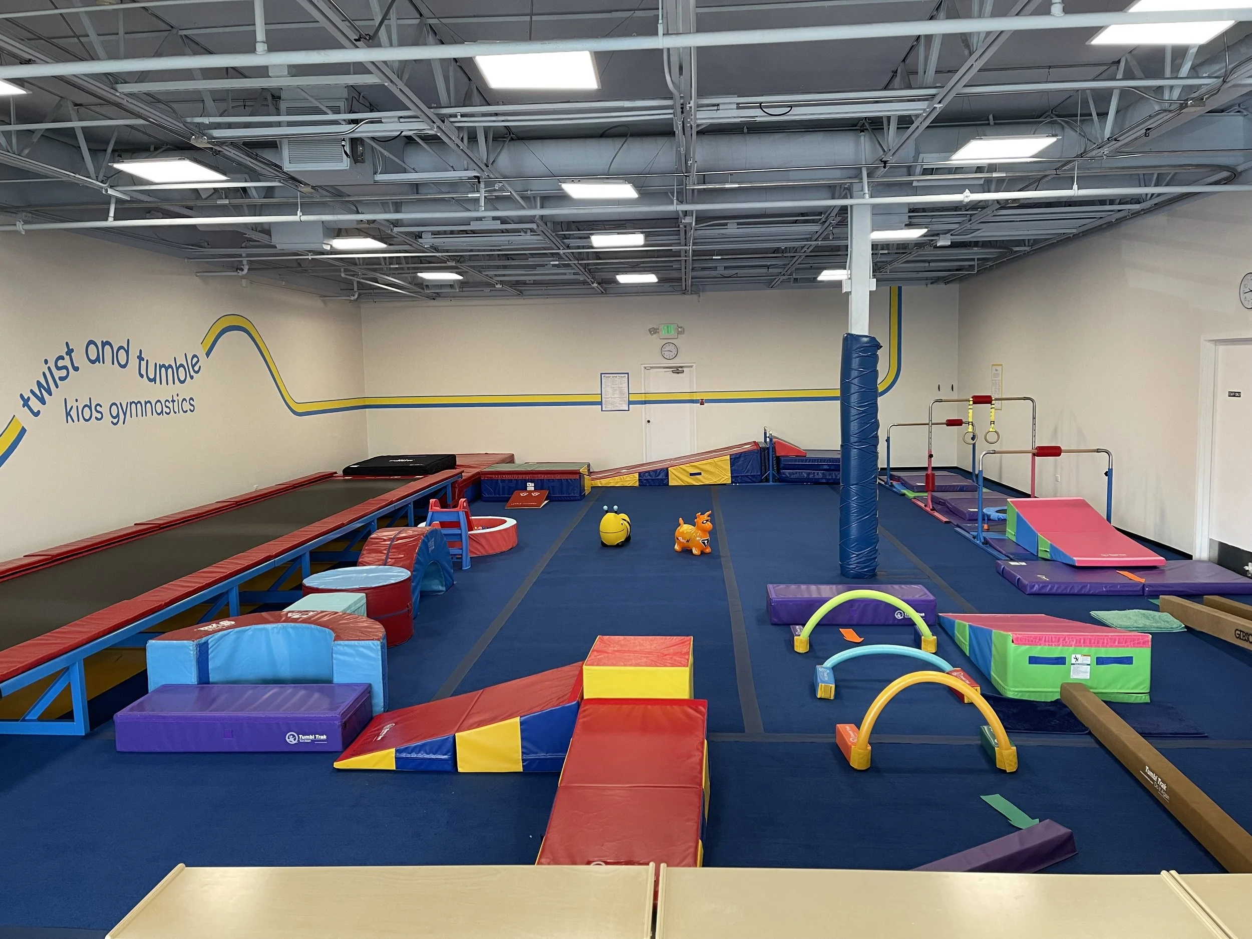 About Twist and Tumble — Twist and Tumble Kids Gymnastics