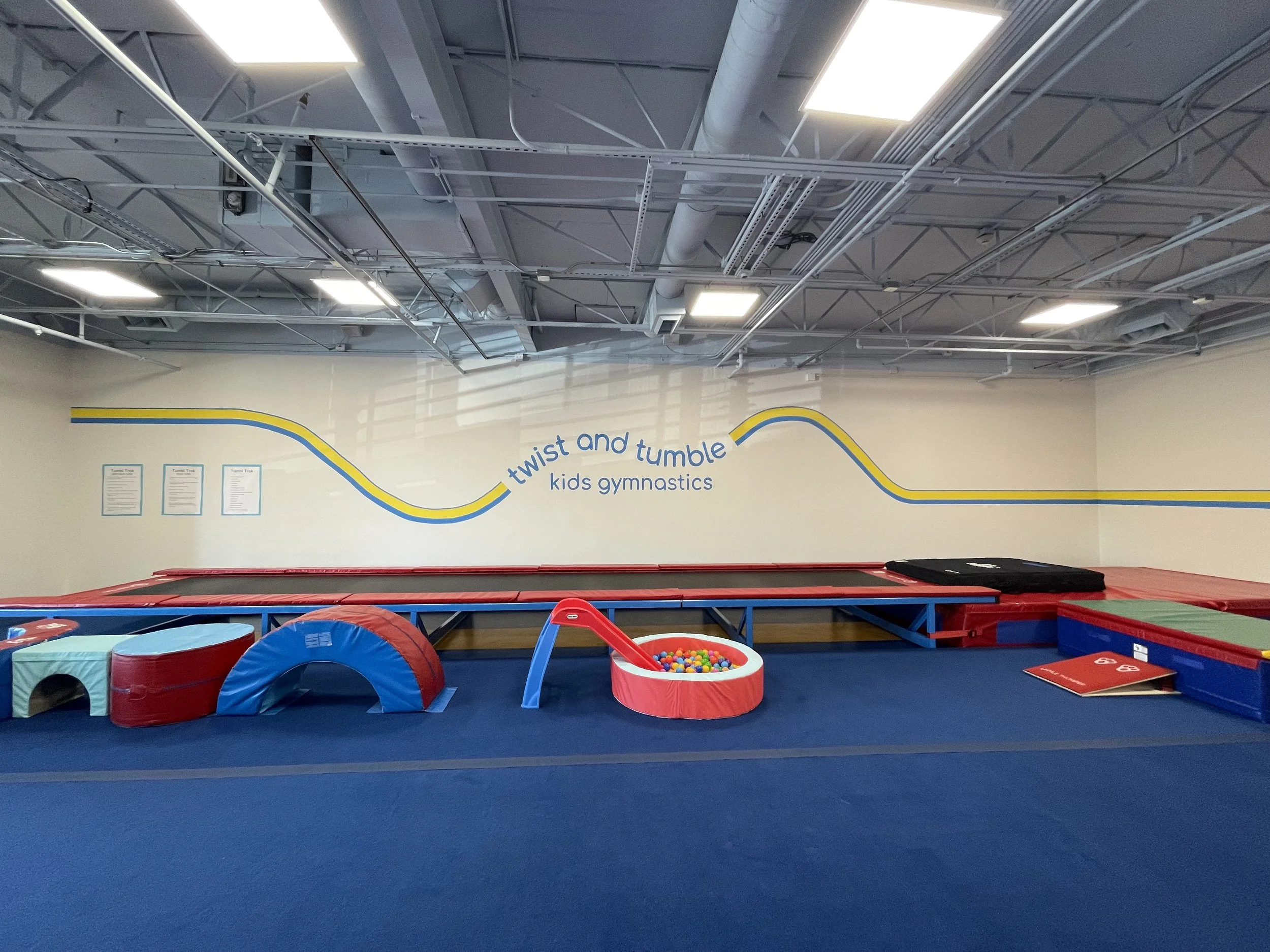 About Twist and Tumble — Twist and Tumble Kids Gymnastics