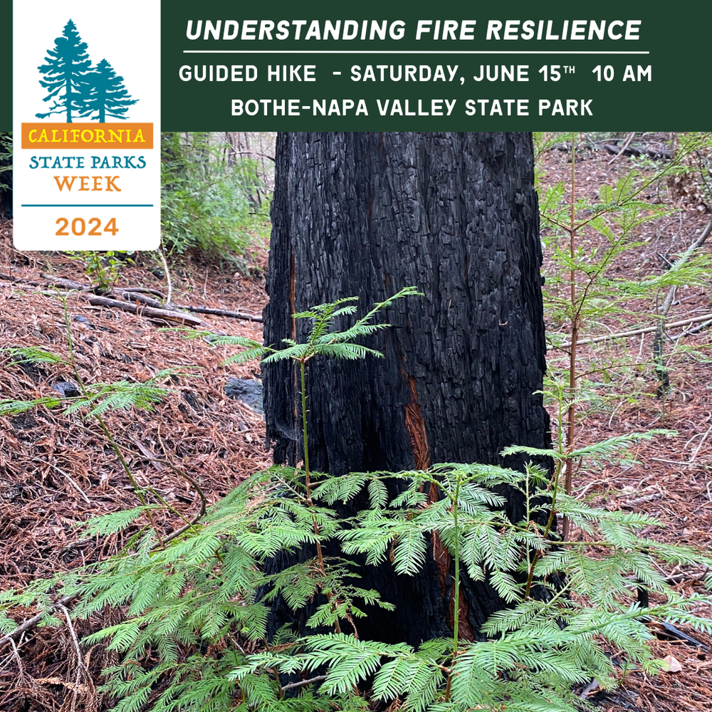 Understanding Fire Resilience - Hike at Bothe-Napa Valley State Park ...