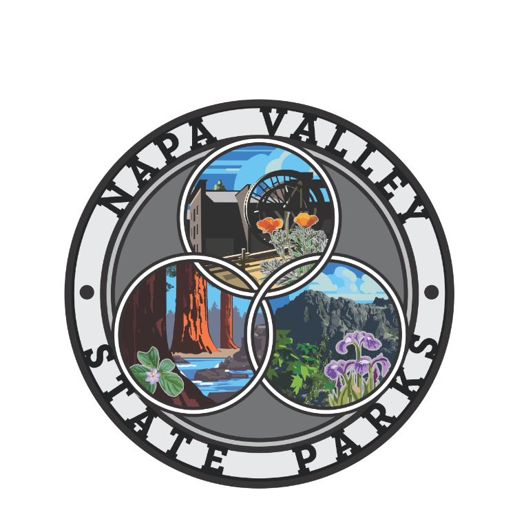 Napa Valley Trail Marathon, Half Marathon & 10K — Napa Valley State ...