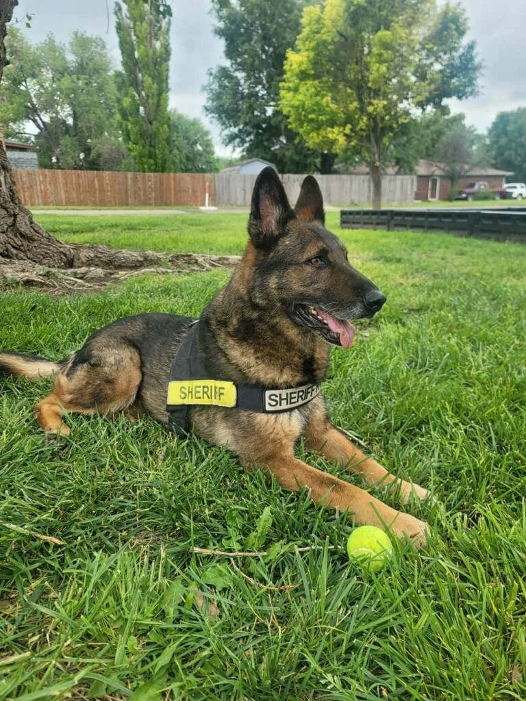 Kansas Police Dog Association