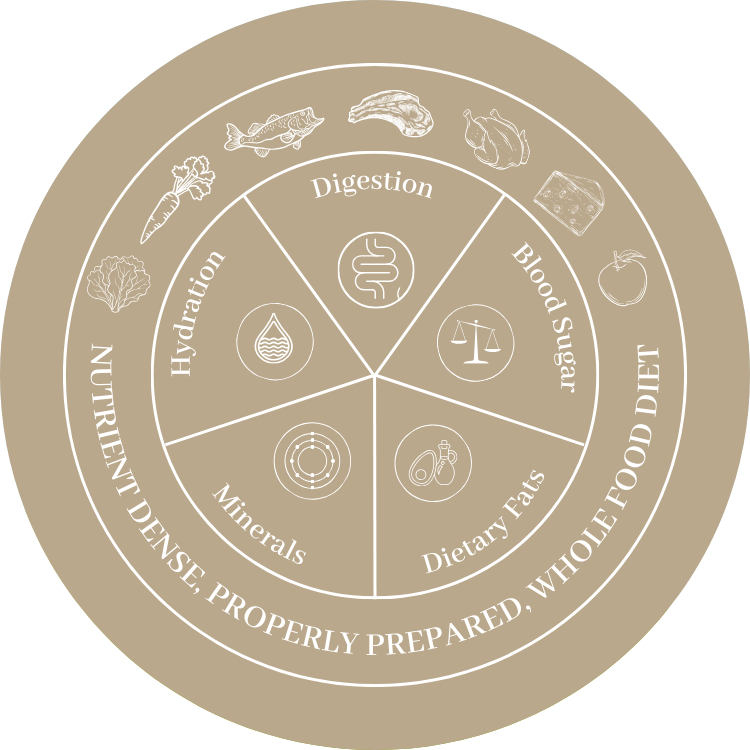 Program Resources — Nutritional Therapy Association Australia New Zealand